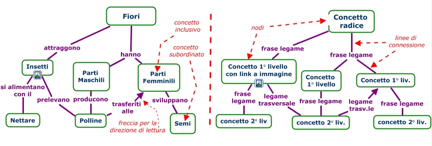 elementi base c-map - Quali sono gli elementi basilari di una mappa concettuale?